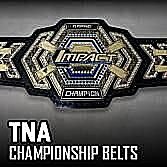 Championship Belts - Wrestling Belts | Mr Champion Belts