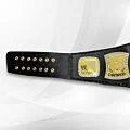 Rated R Spinner Belt - WWE Rated R Belt | Free Shipping